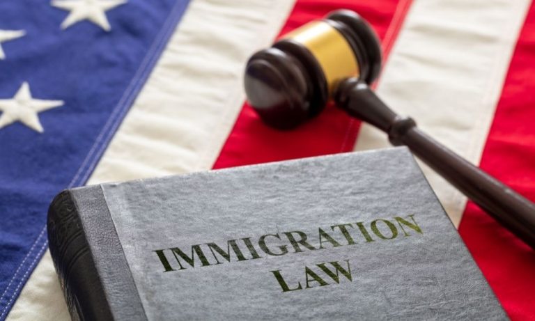 What is Immigration Law? - AML